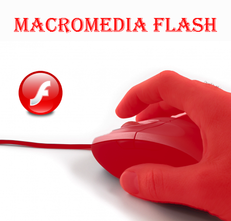 Macromedia Flash Training - IDESTRAININGS