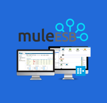 Mule Esb Training - IDESTRAININGS