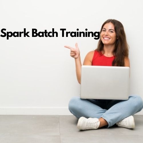 SPARK BATCH TRAINING - IDESTRAININGS