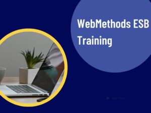 WebMethods ESB Training - IDESTRAININGS